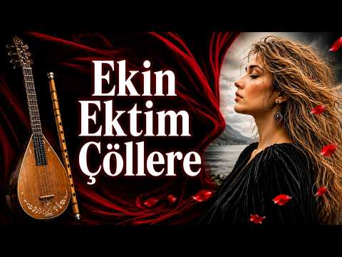 Ekin Ektim Çöllere | Limit Akustik | Akustik Yorum
