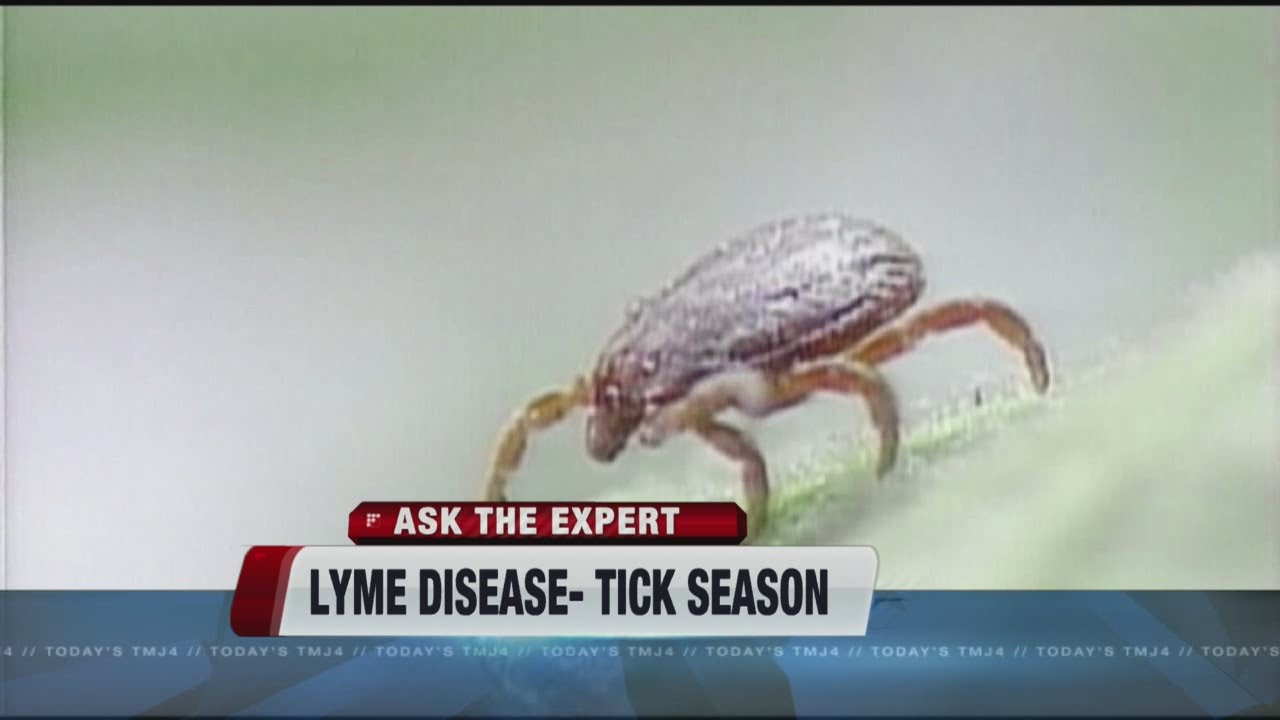 Start of fall doesn't mean tick season is over - YouTube
