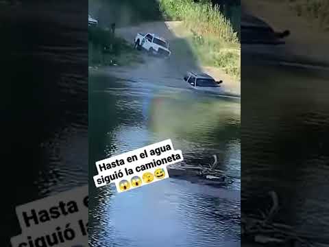 #sepelobaltazar #sepelo #pollos