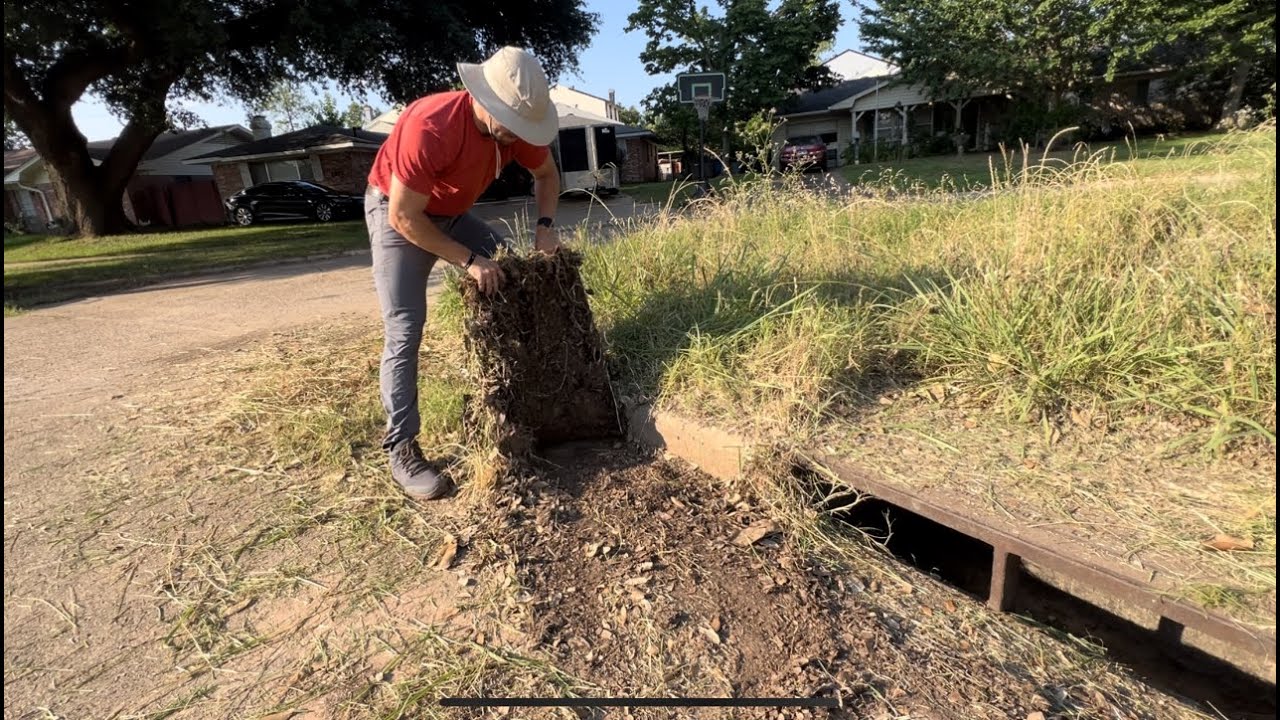 RESTORING this OVERGROWN ISLAND for the NEIGHBORHOOD - EPIC LAWN ...