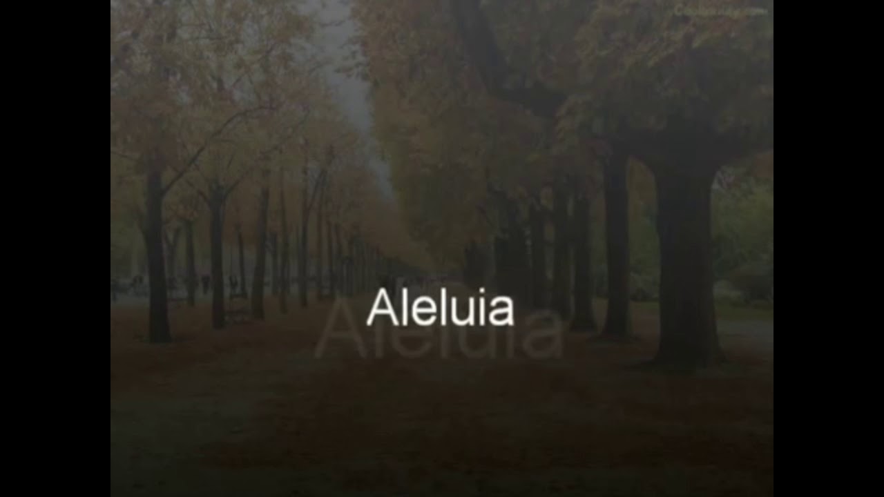 Gabriela Rocha_ Aleluia ( clipe letra) - YouTube