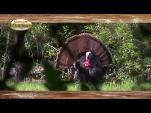 Welcome to the Official MDWFP Youtube Channel - YouTube