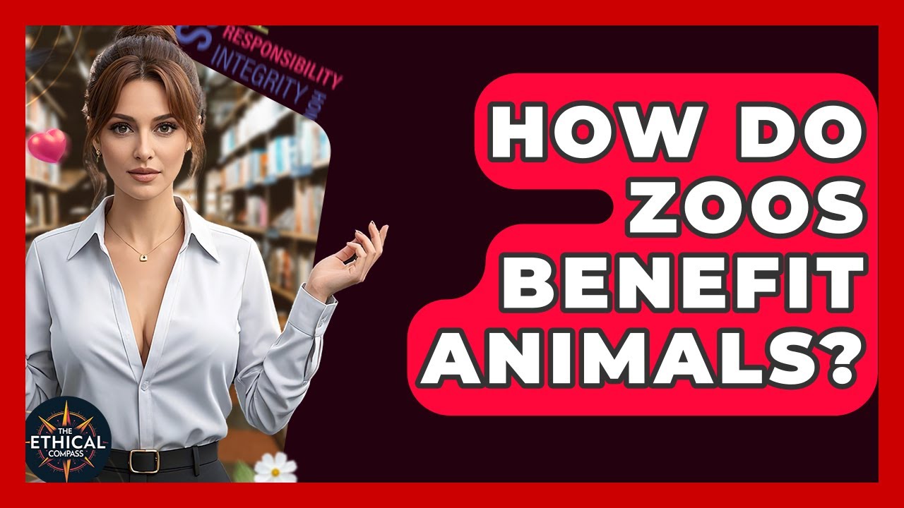How Do Zoos Benefit Animals? - The Ethical Compass - YouTube