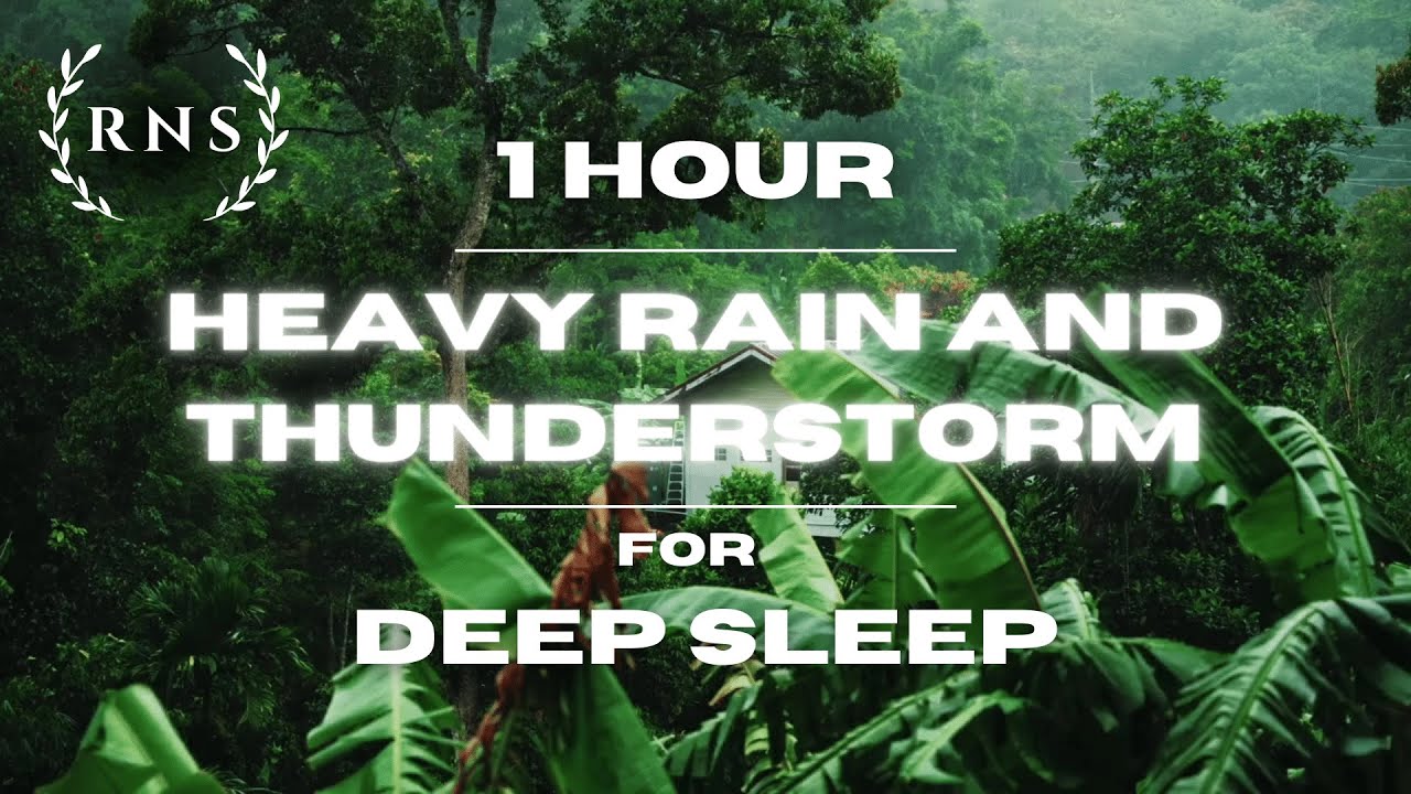 Heavy Rainstorm and Thunder for Deep Sleep 1 Hour of Nature Sounds ...
