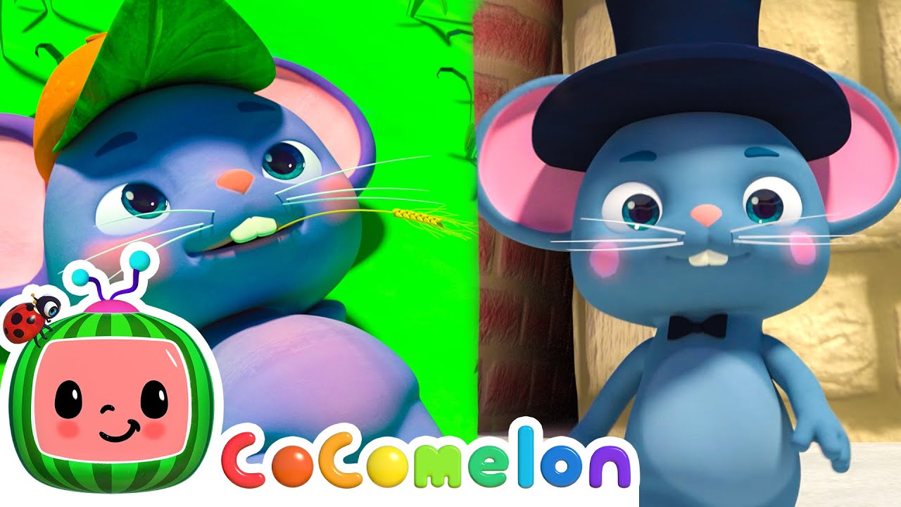 🐁The Country and City Mouse KARAOKE!🐁| CoComelon Karaoke Songs | Sing ...