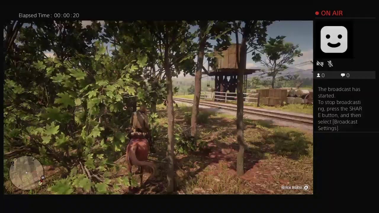 RDR2 live stream test - YouTube