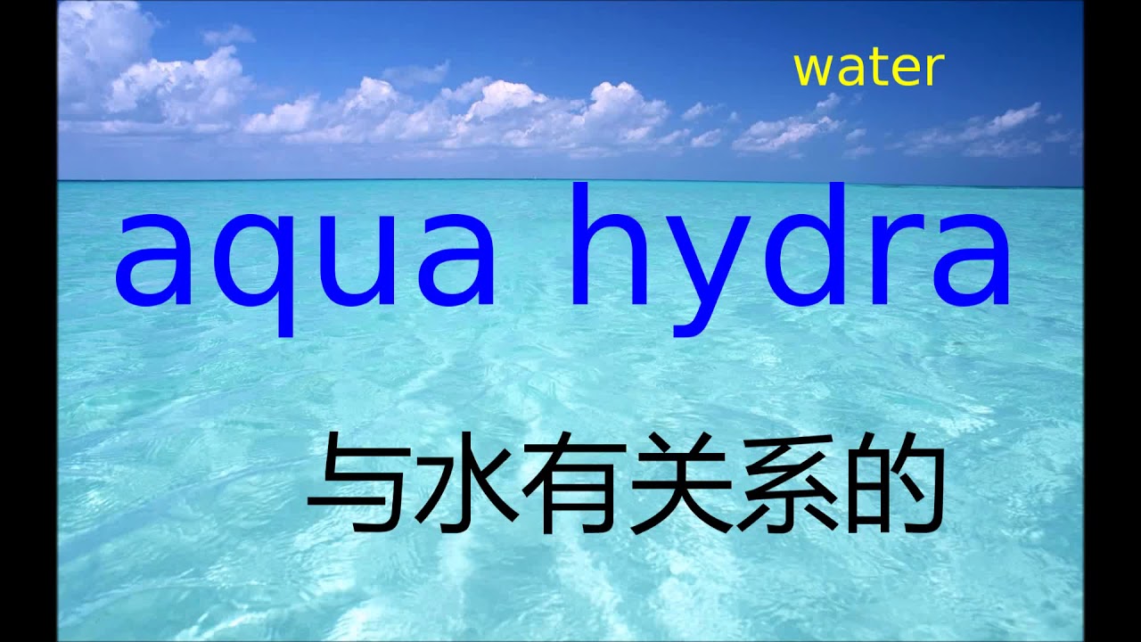 Aqua hydra Word Root Song From SAT Words YouTube aqua-hydra-word-root-song-from-sat-words-youtube