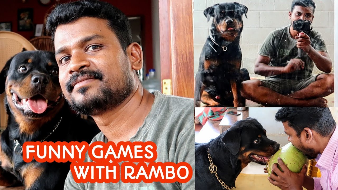 COCONUT FIGHT WITH RAMBO | MIRROR GAME | RAMBO'S NEW FRIEND | TAMIL ...