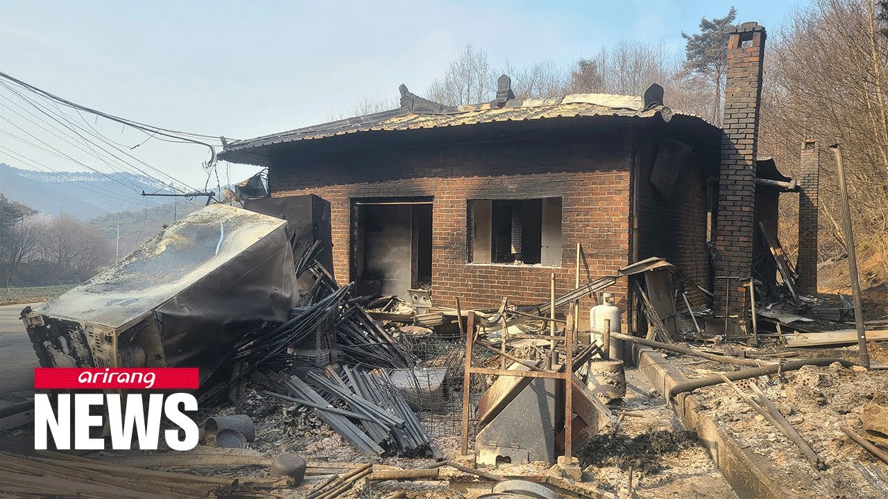 Forest fire in Hongseong spreading fast - YouTube