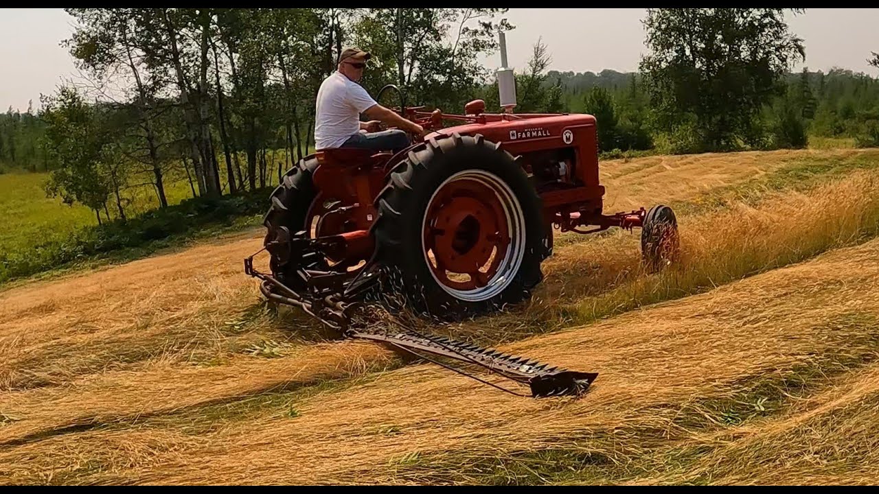 Adapting the Farmall Super M to Mow Hay the Old School Way! IH Sickle ...