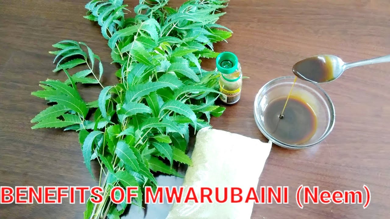 Amazing uses of Neem oil (Mwarubaini) for Hair and Skin - YouTube