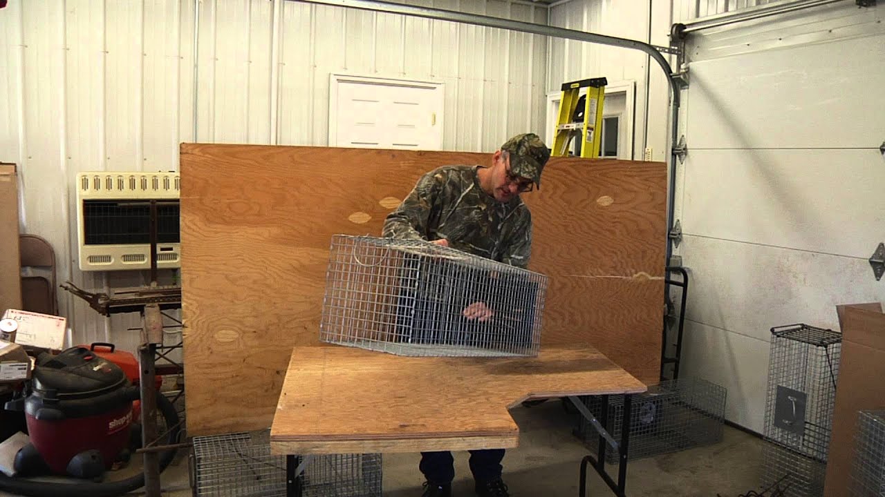Wickenkamp Live Trap --- plastic funnel fish trap - YouTube