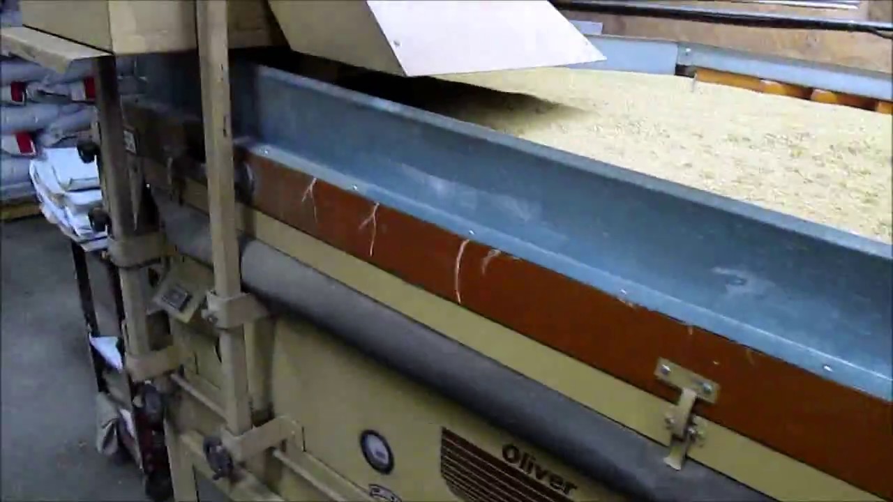 Oliver 160 Gravity Table cleaning clover seed - YouTube