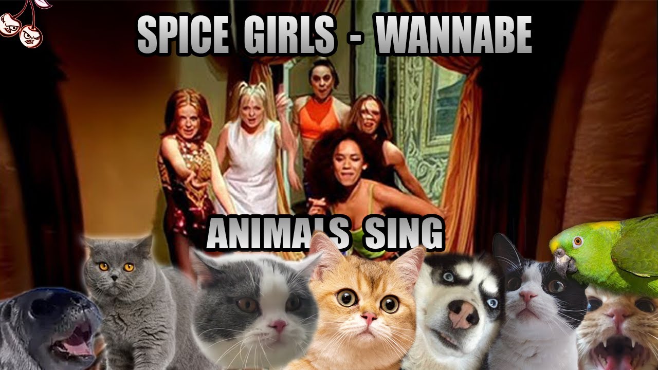 Spice Girls - Wannabe (Animal Cover) - YouTube