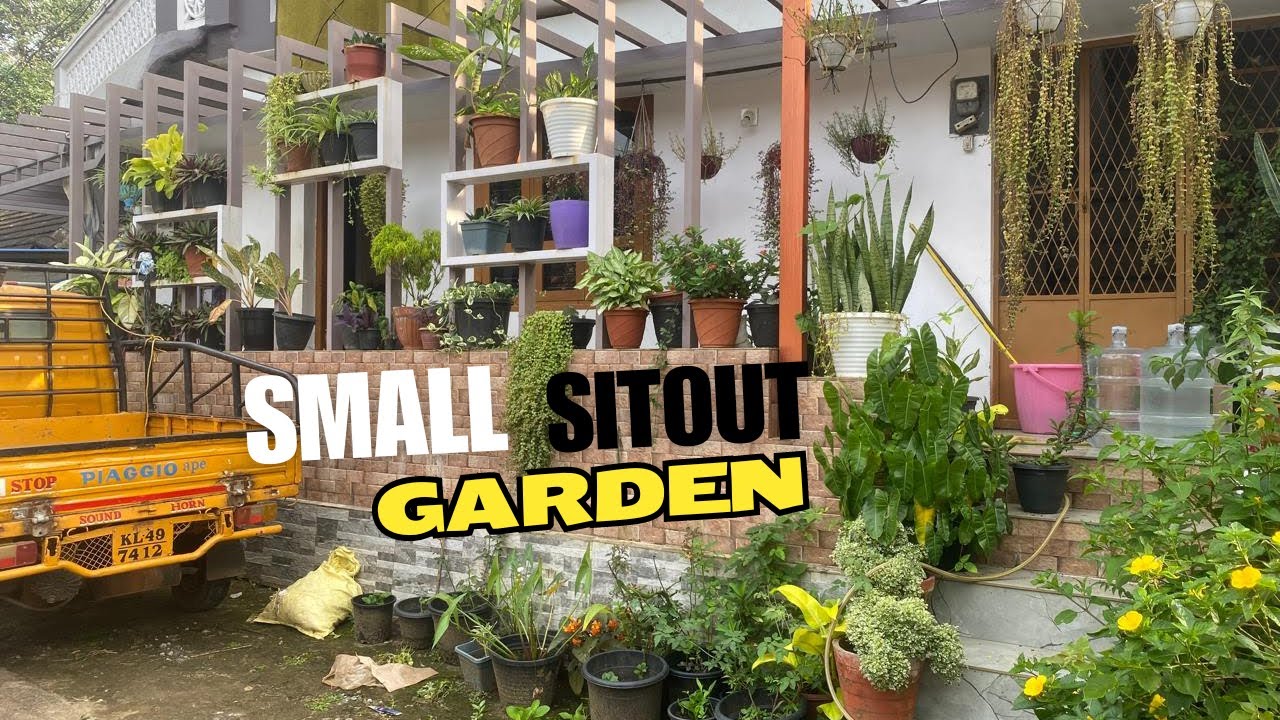 My small sit out garden | garden for beginners | home tour - YouTube