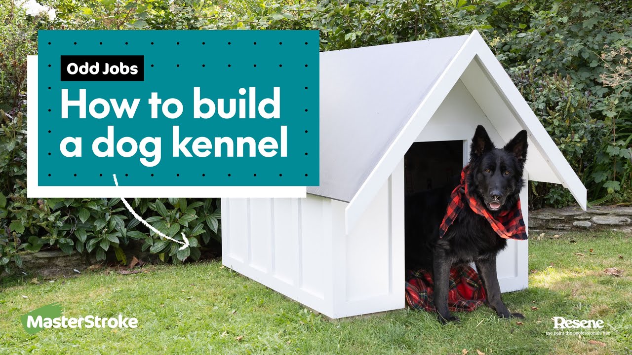 Odd Jobs - How to build a dog kennel - YouTube