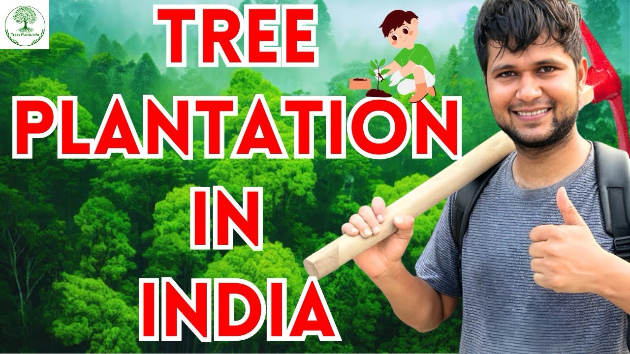 Tree plantation in India | Planting Jamun Trees 🌳 in India | Best NGO ...