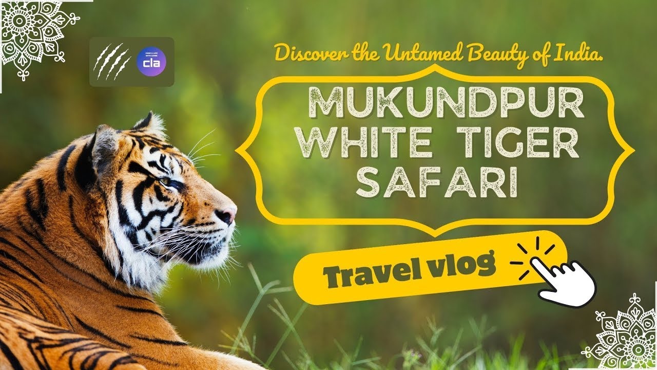 Mukundpur A Wildlife Adventure You Won't Want to Miss 🦁🐯 #mukundpur # ...
