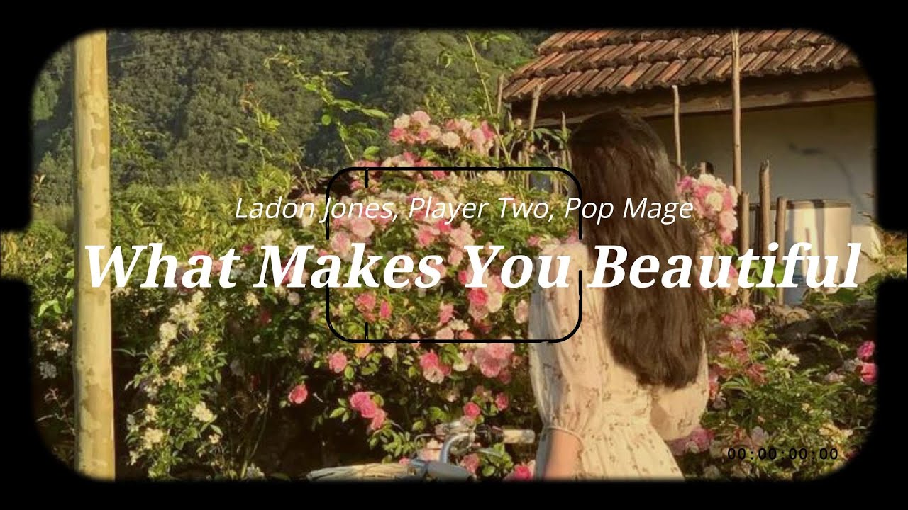 [Vietsub+Lyrics] What Makes You Beautiful - Ladon Jones, Player Two ...