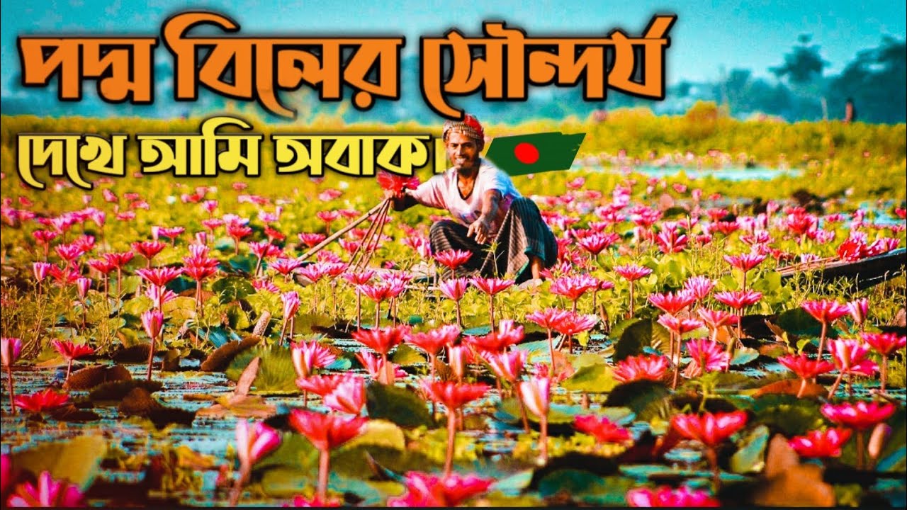 পদ্ম বিলের সৌন্দর্য দেখে আমি অবাক। ভুতিয়ার বিল।PODDO BIL - YouTube