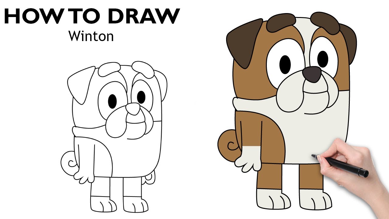 How to Draw Winton from Bluey Step by Step - YouTube