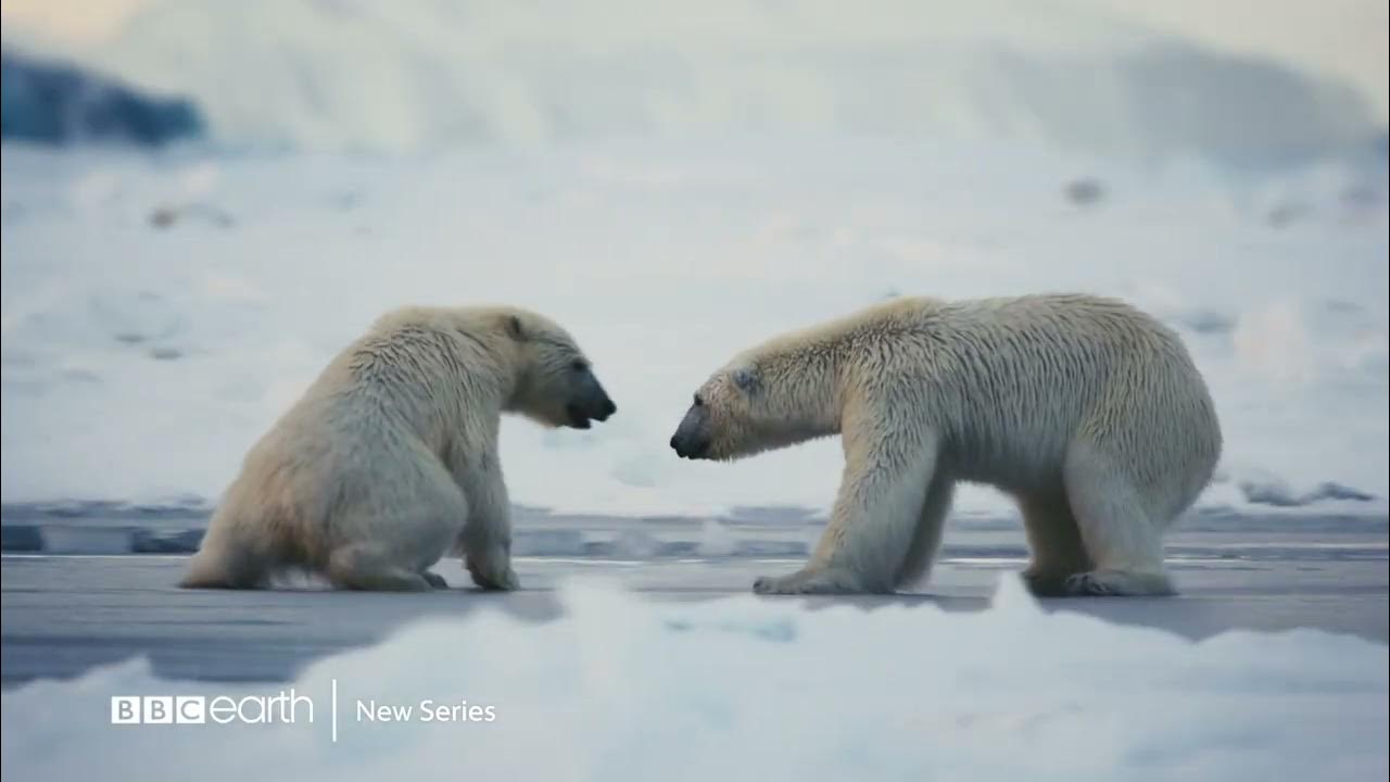 Now TV - BBC Earth - 《Frozen Planet II》 - YouTube
