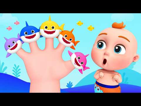 Finger Family Song - Shark Finger Family - Baby Sharks | TimoBoy Kids Songs & Nursery Rhymes