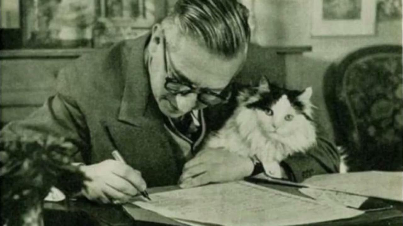 Schrödinger'in Kedisi Deneyi - YouTube