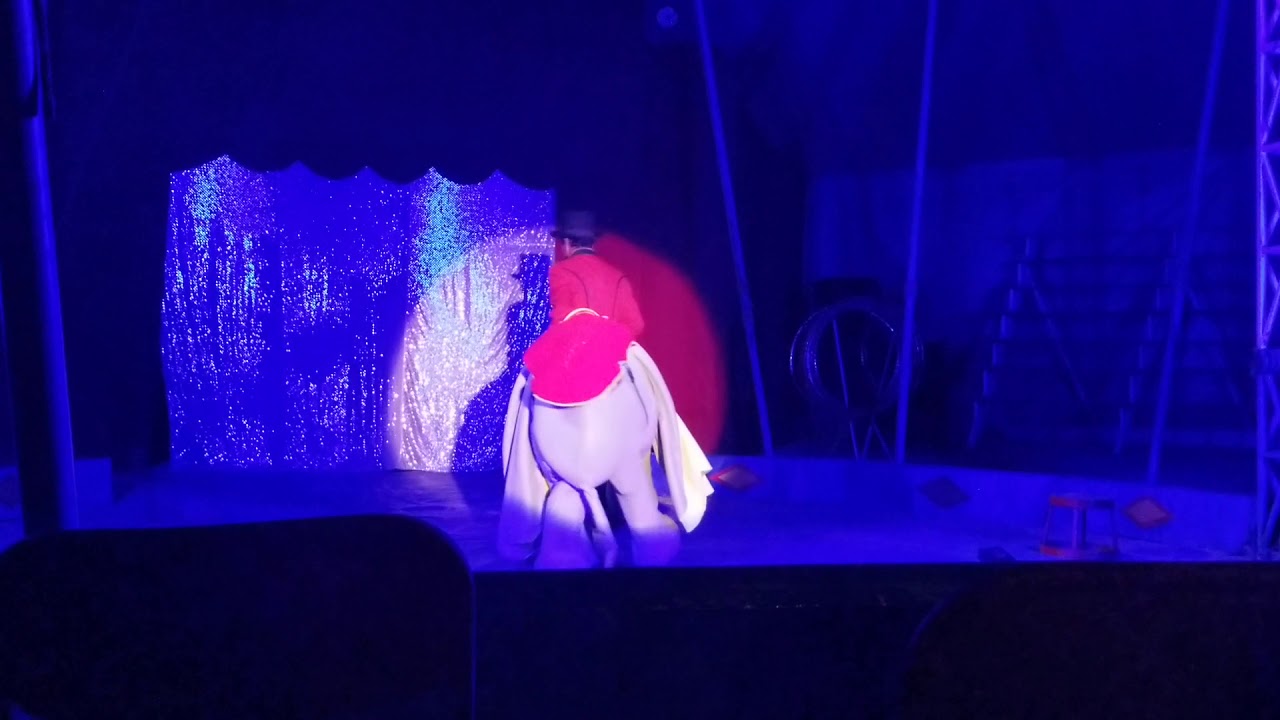 Circo Hnos Kelio Presenta Dumbo Youtube