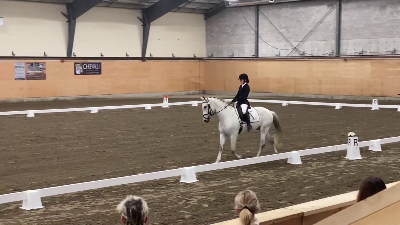 RDV des kürs Équimania 2019 - Ariane Hébert - YouTube