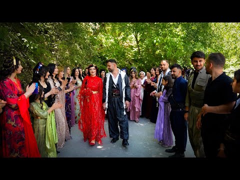 Hozan Rıfat Hakkari’de Kurt & Aksaç Ailelerinin Görkemli Düğünü | Hakkari Düğünleri 2026