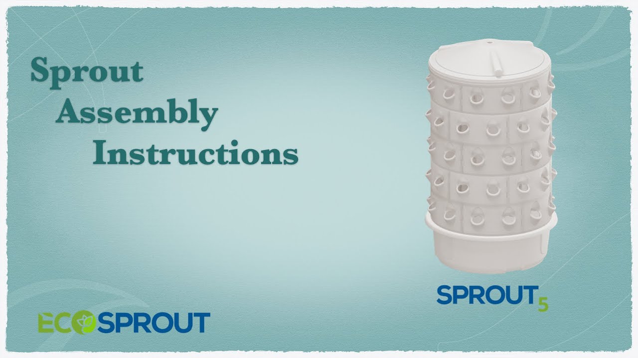 Sprout Assembly (All Sizes) - YouTube