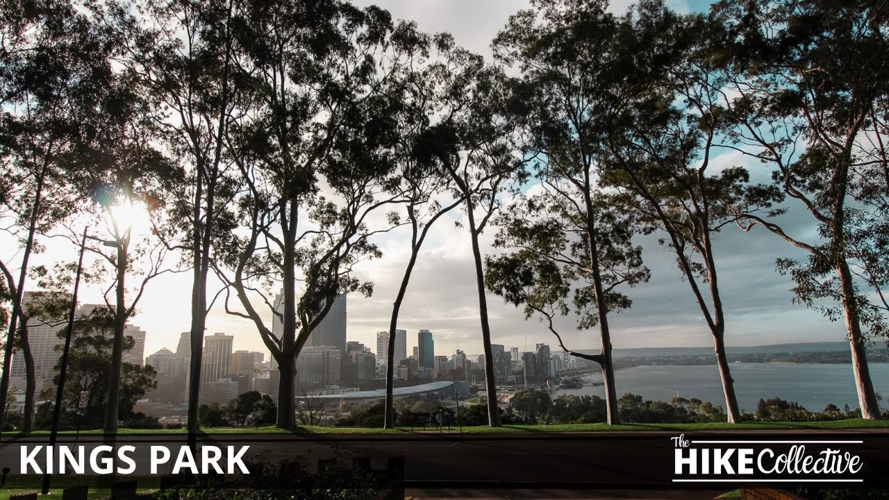 Kings Park Highlights Tour - YouTube