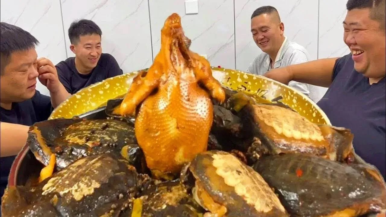 10 soft-shelled turtles stewed with a chicken, Monkey Brother made ”Ba ...