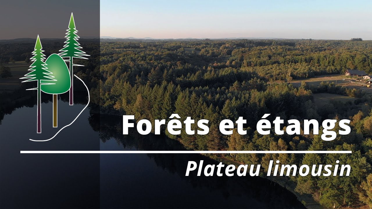 Forêts et étangs du Plateau limousin – Forest and pond in Limousin area ...