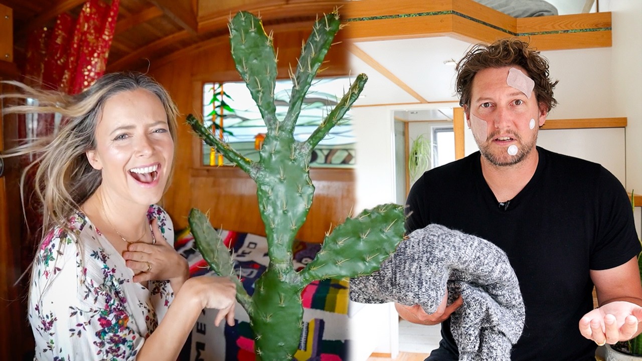 Tiny House, Giant Mistake! 🌵 - YouTube