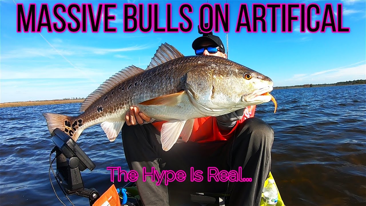 HUGE Winter Time Bull Redfish - Where To Find Them - How to Fight Them ...