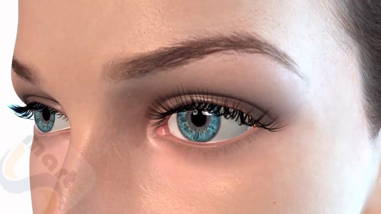 example eyelash 3d animation - YouTube