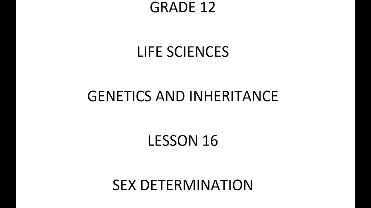 Grade 12 Sex Determination Youtube 3536