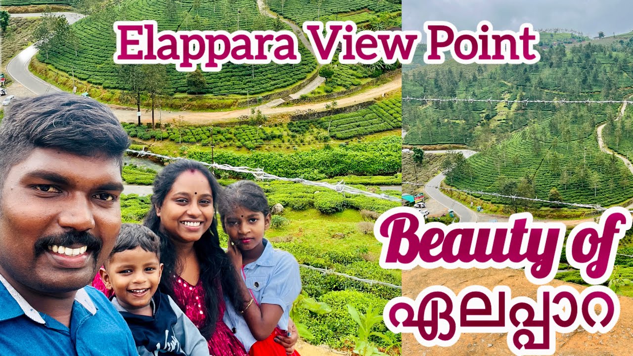 Elappara View Point ,കുളിർക്കാറ്റും കോടമഞ്ഞുമായി സംസ്ഥാന പാതയിലൊരു വ്യൂ ...