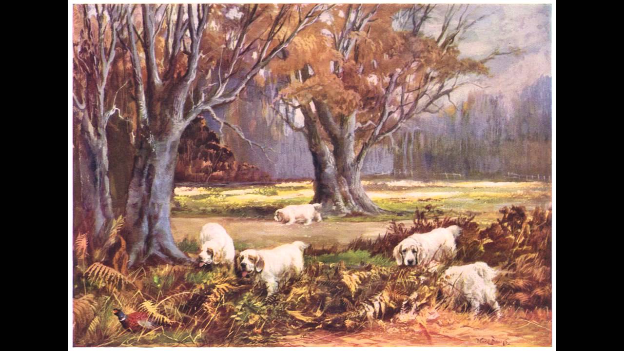 Clumber Spaniel Art, Antique Prints of Clumber Spaniels - YouTube
