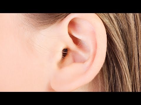 Kulak anatomisi - YouTube