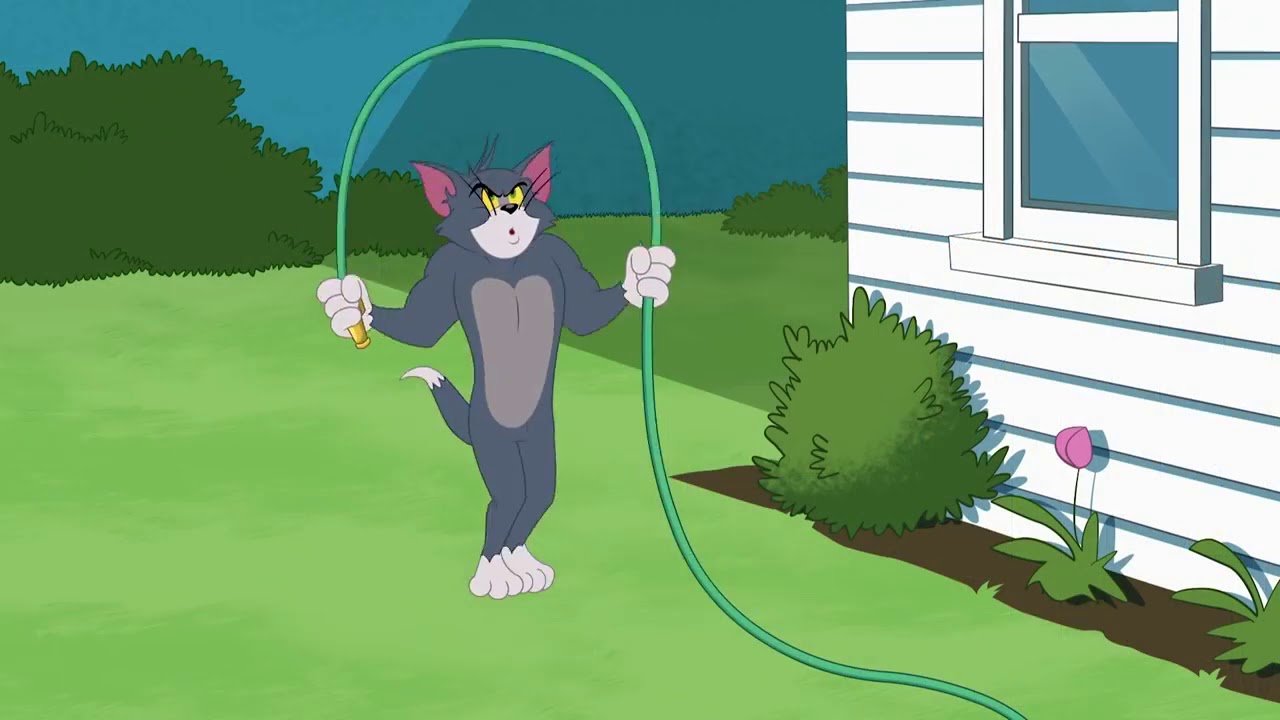 The Tom and Jerry Show Tom The Gym Cat Boomerang UK 2019 - YouTube