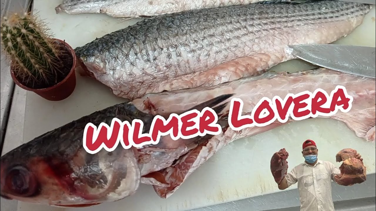 lebranche en filetes o en porciones 🐟🐟 - YouTube