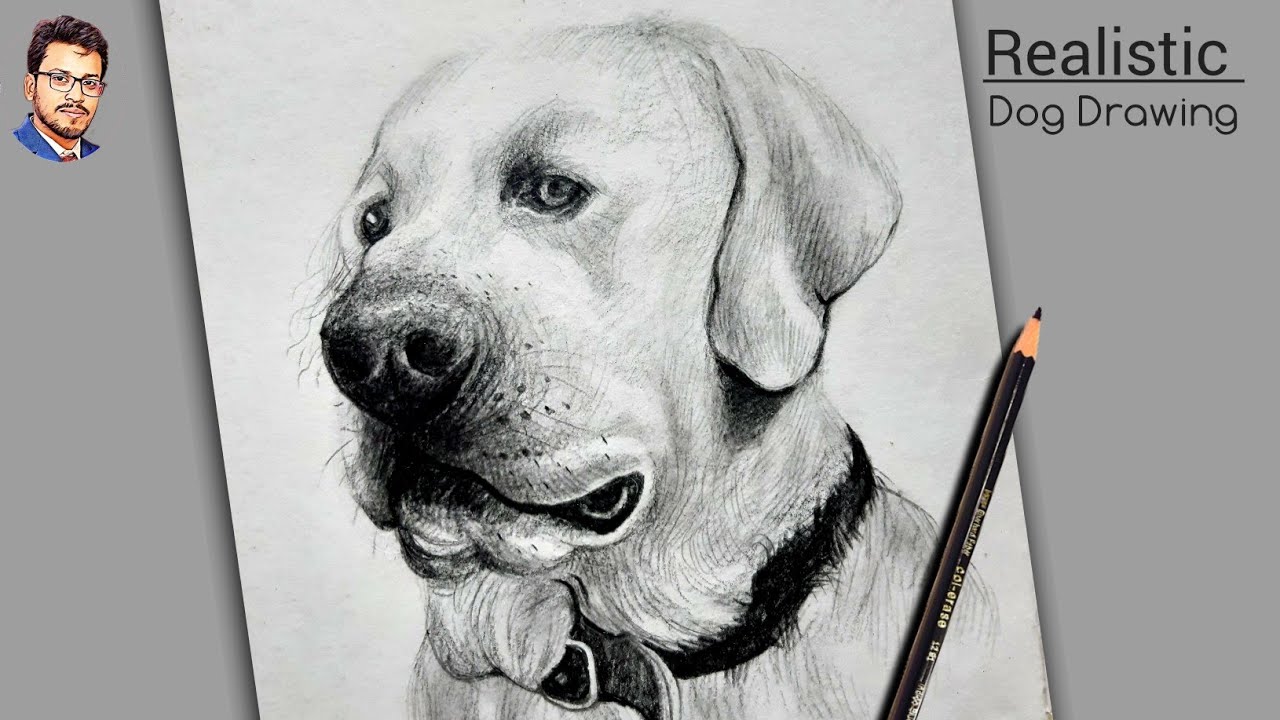 How to draw realistic Dog 🐕 | Dog drawing | palash swar - YouTube