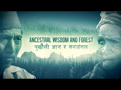 || Ancestral Wisdom and Forest || In Nepal || - YouTube