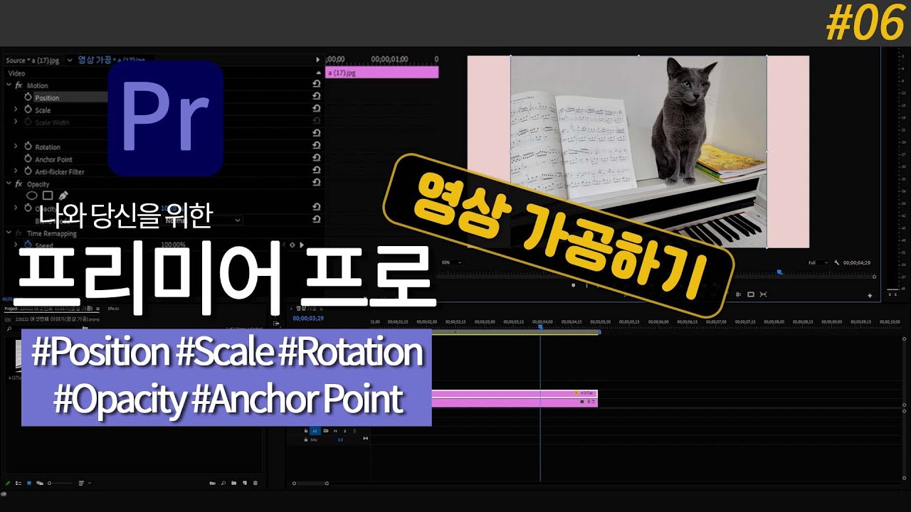 프리미어 프로 2021 여섯번째 이야기(Position, Scale, Rotation, Anchor point, Opacity ...