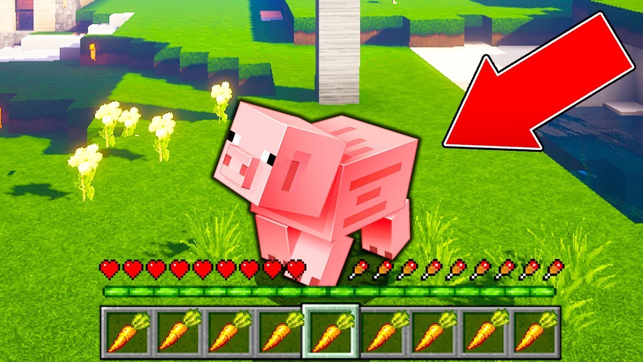 Minecraft - HOW to play BABY PIG MINECRAFT in Minecraft: NOOB vs PRO ...