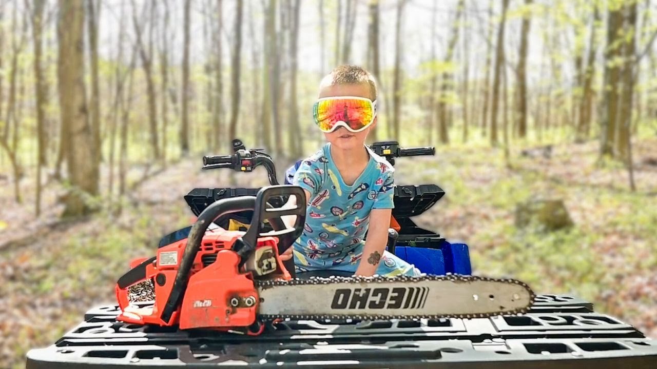 Back to firewood cutting - Chainsawing with Dad - YouTube