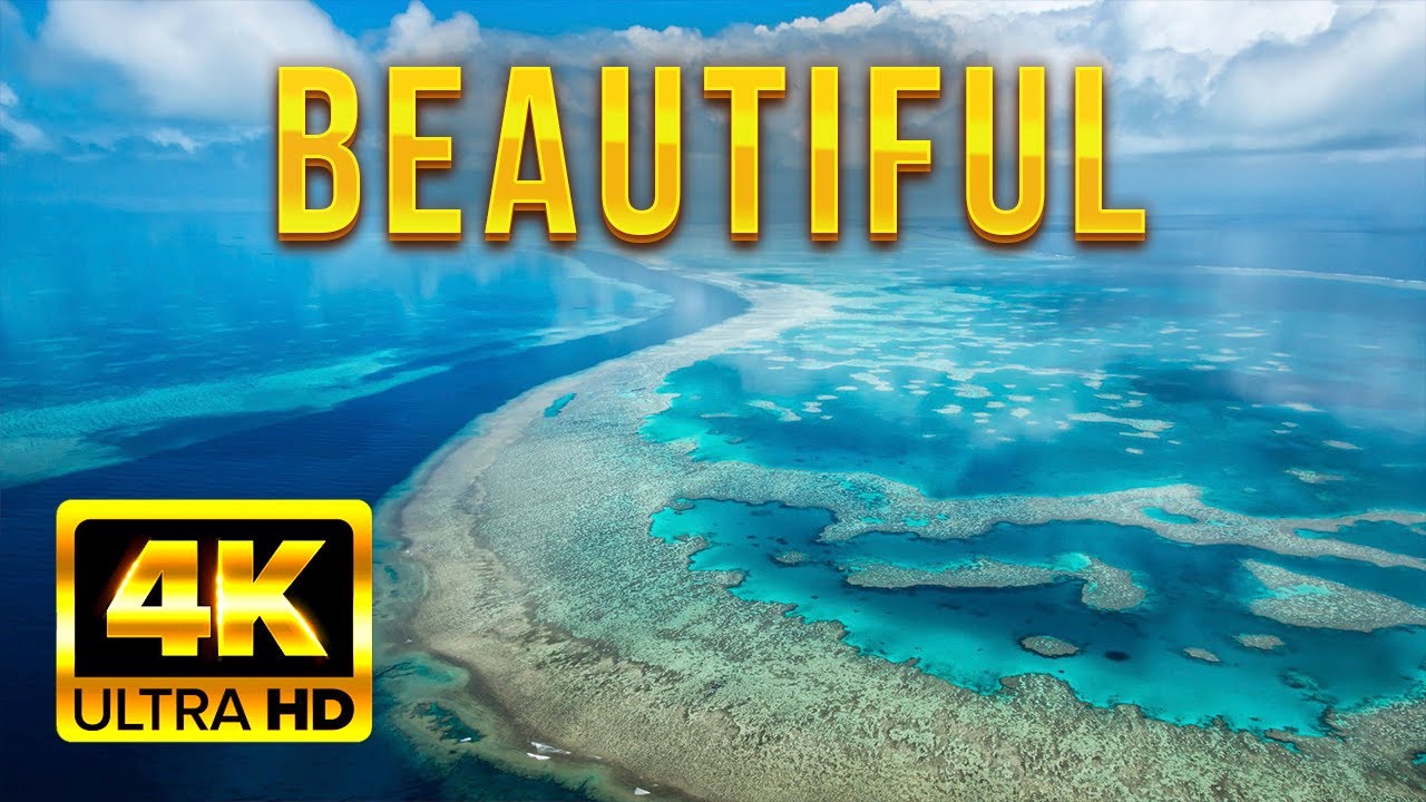 Oceanic Tranquility: Surrender to Serenity with the Soothing Tides|Music for Relax and ...